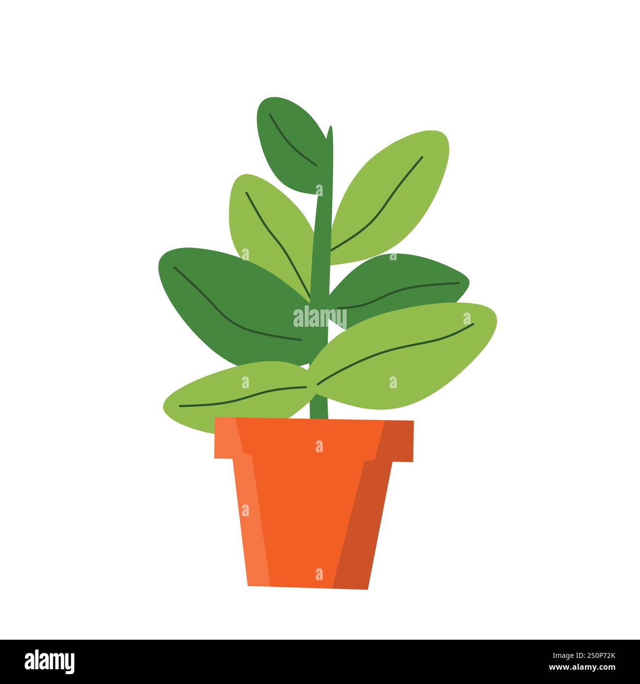 Artistic botanical illustration Stock Vector Images - Alamy