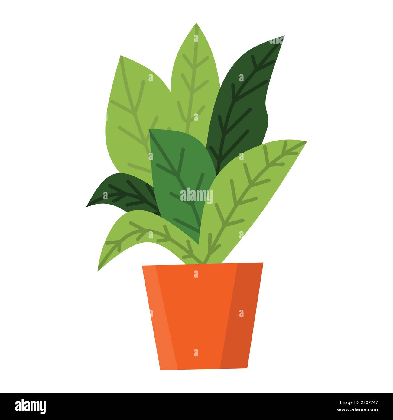 illustration of a green plant with multiple stems and oval-shaped ...