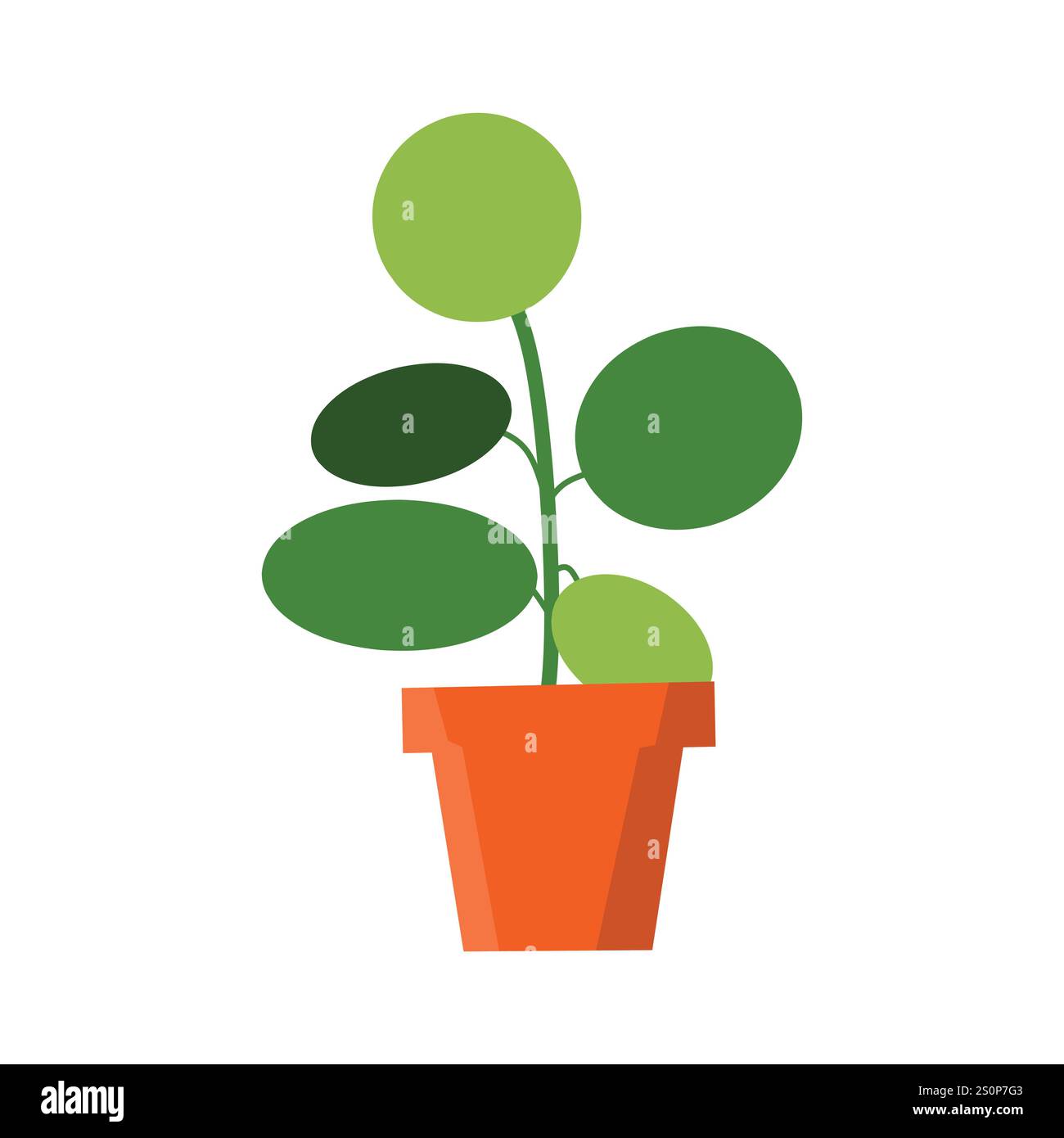 Stylish making Stock Vector Images - Alamy