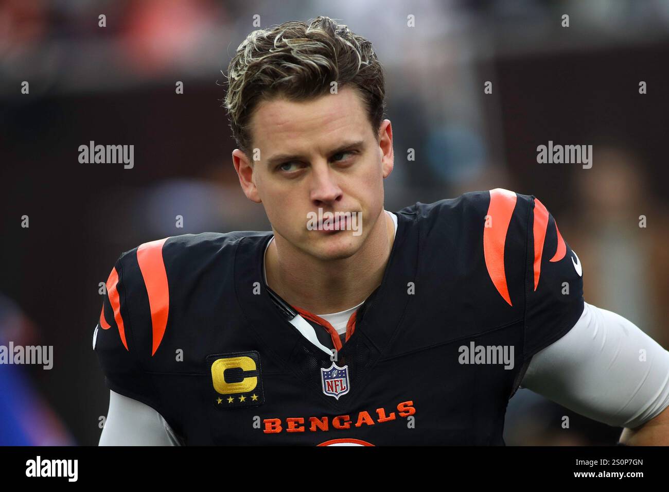 Cincinnati, USA. 28th Dec, 2024. December 28, 2024: Cincinnati Bengals ...