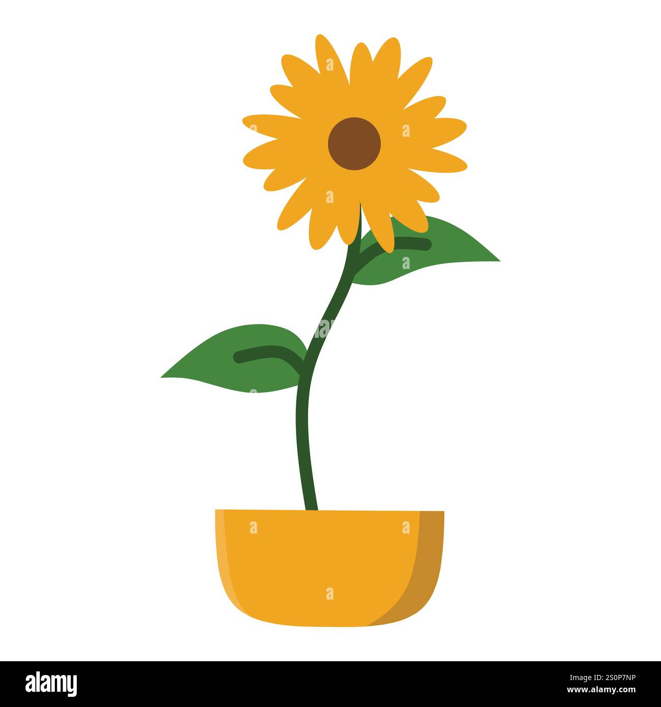 Sunflower blossom center Stock Vector Images - Alamy