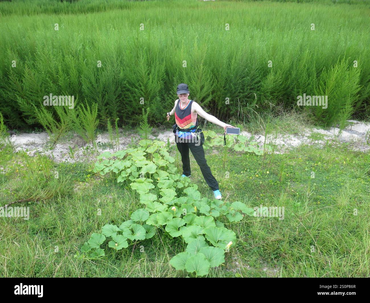 winter squash (Cucurbita maxima Stock Photo - Alamy