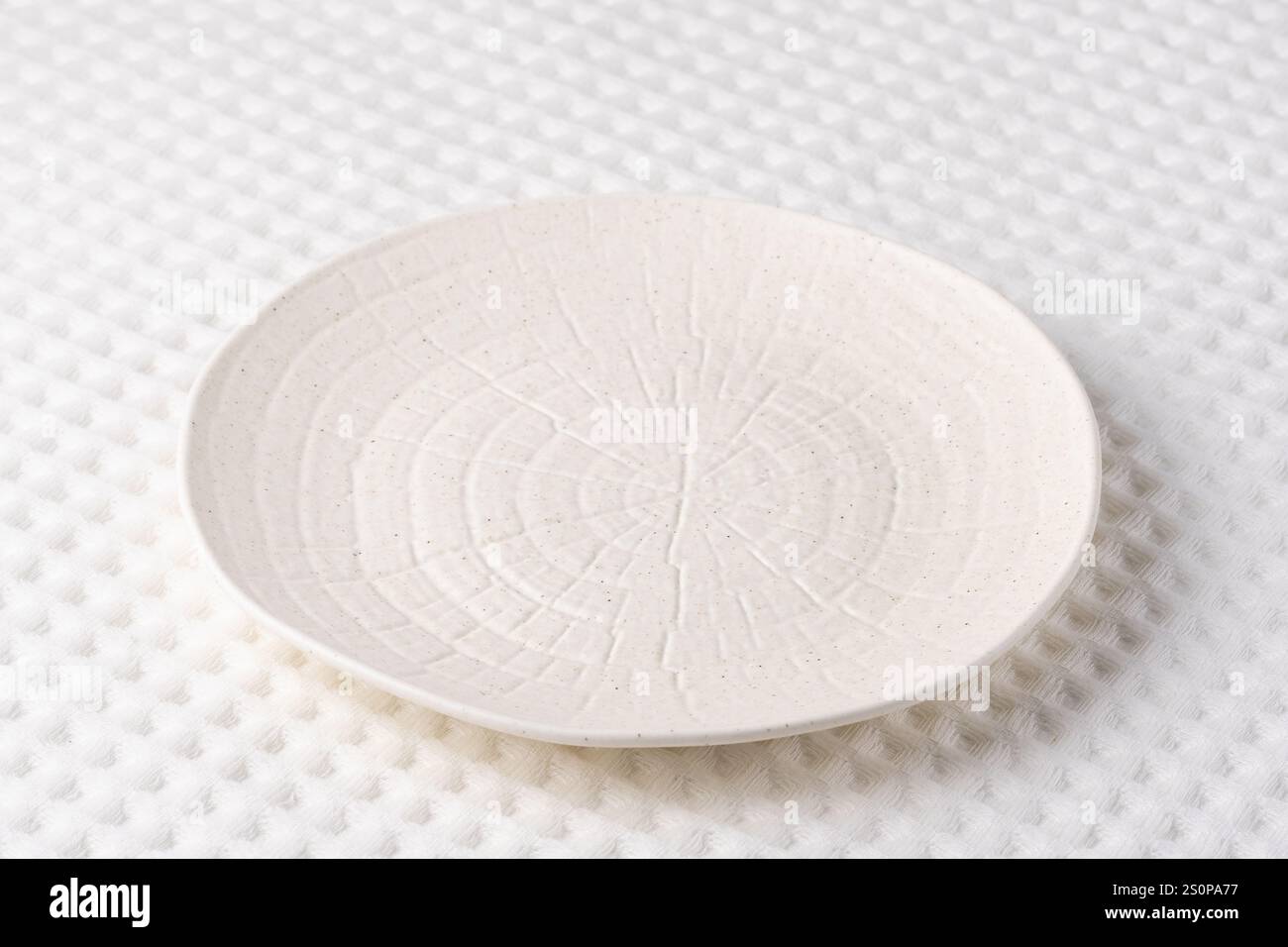 Simple white ceramic plate with textured surface designed for modern ...