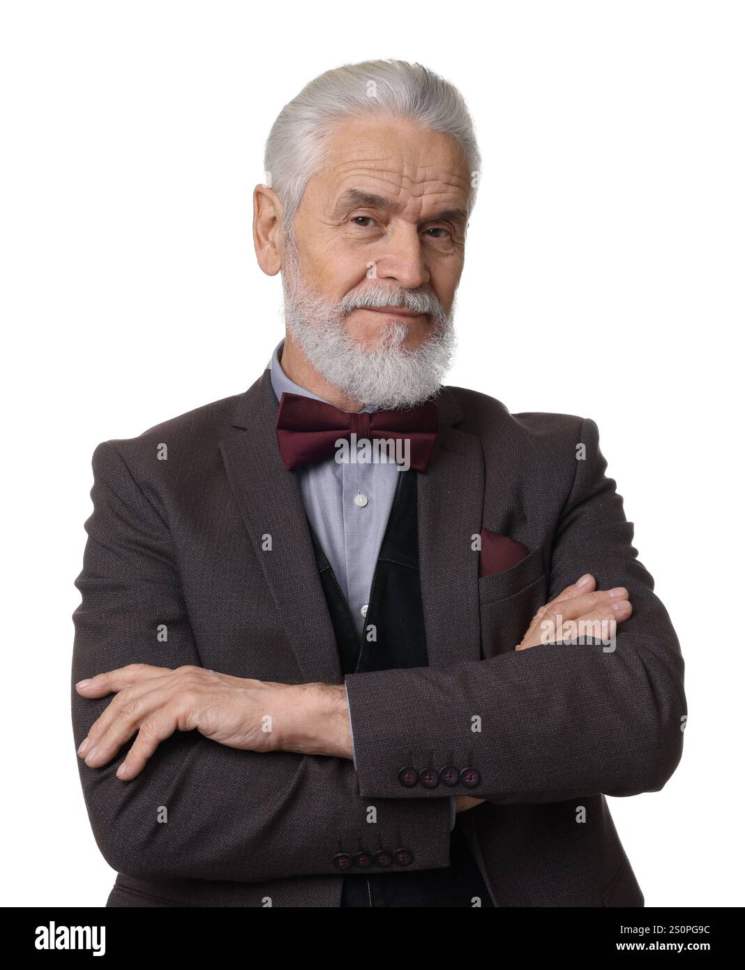 Portrait of elegant bearded gentleman on white background Stock Photo ...