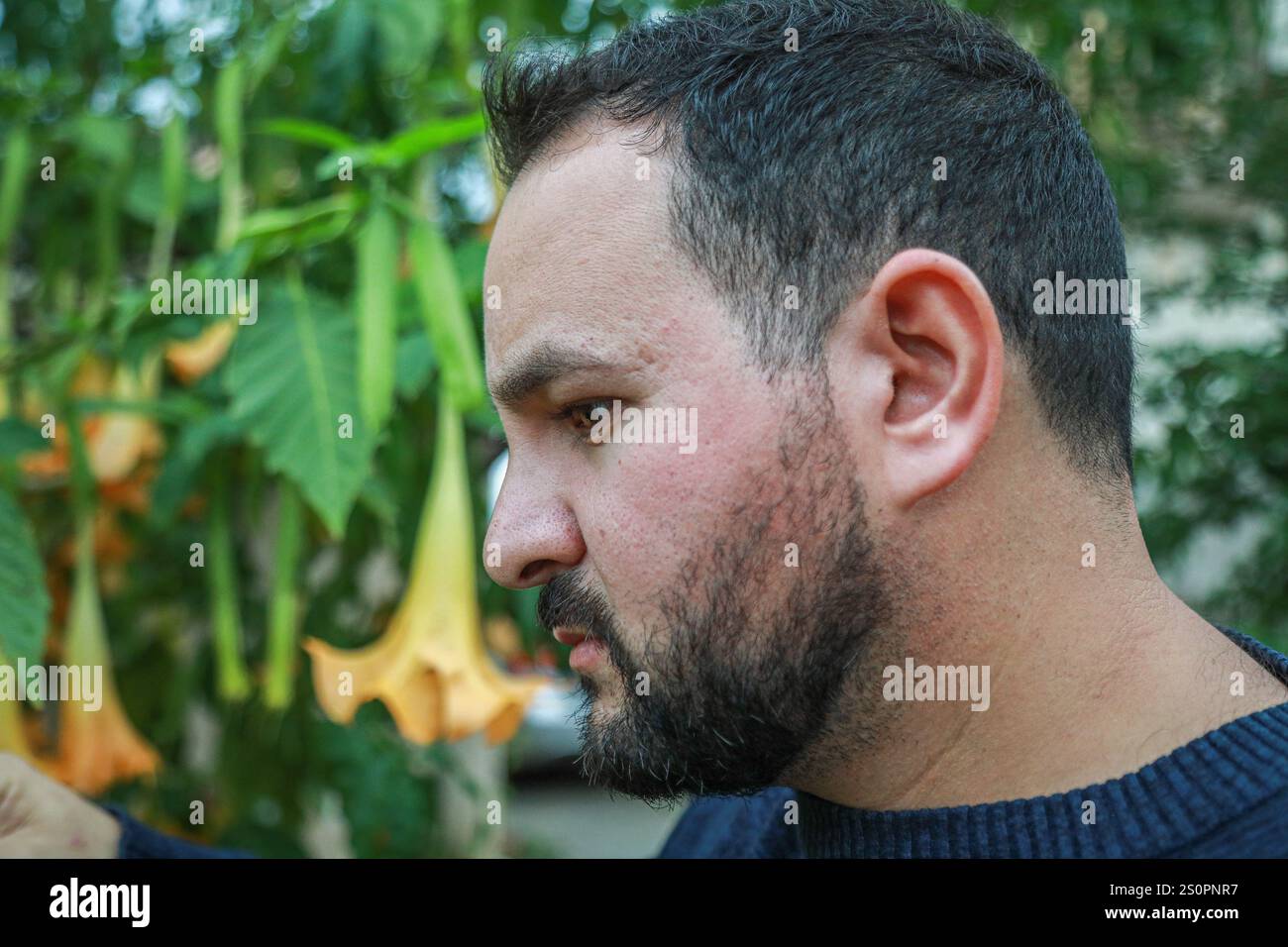 Searching inspiration in nature hi-res stock photography and images - Alamy