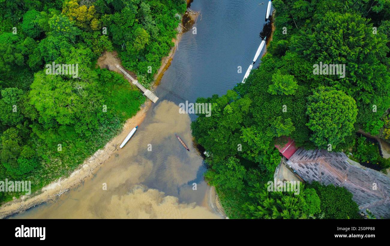 River mouth in a jungle seen from above Stock Photo - Alamy