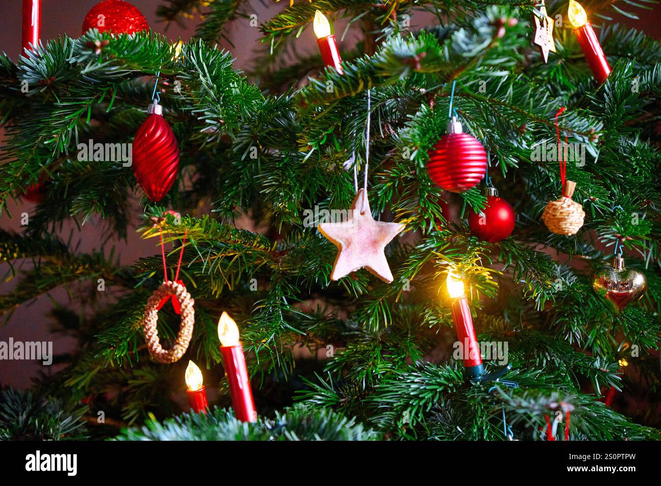 Worms, Rhineland-Palatinate, Germany - December 27, 2024: A festively ...