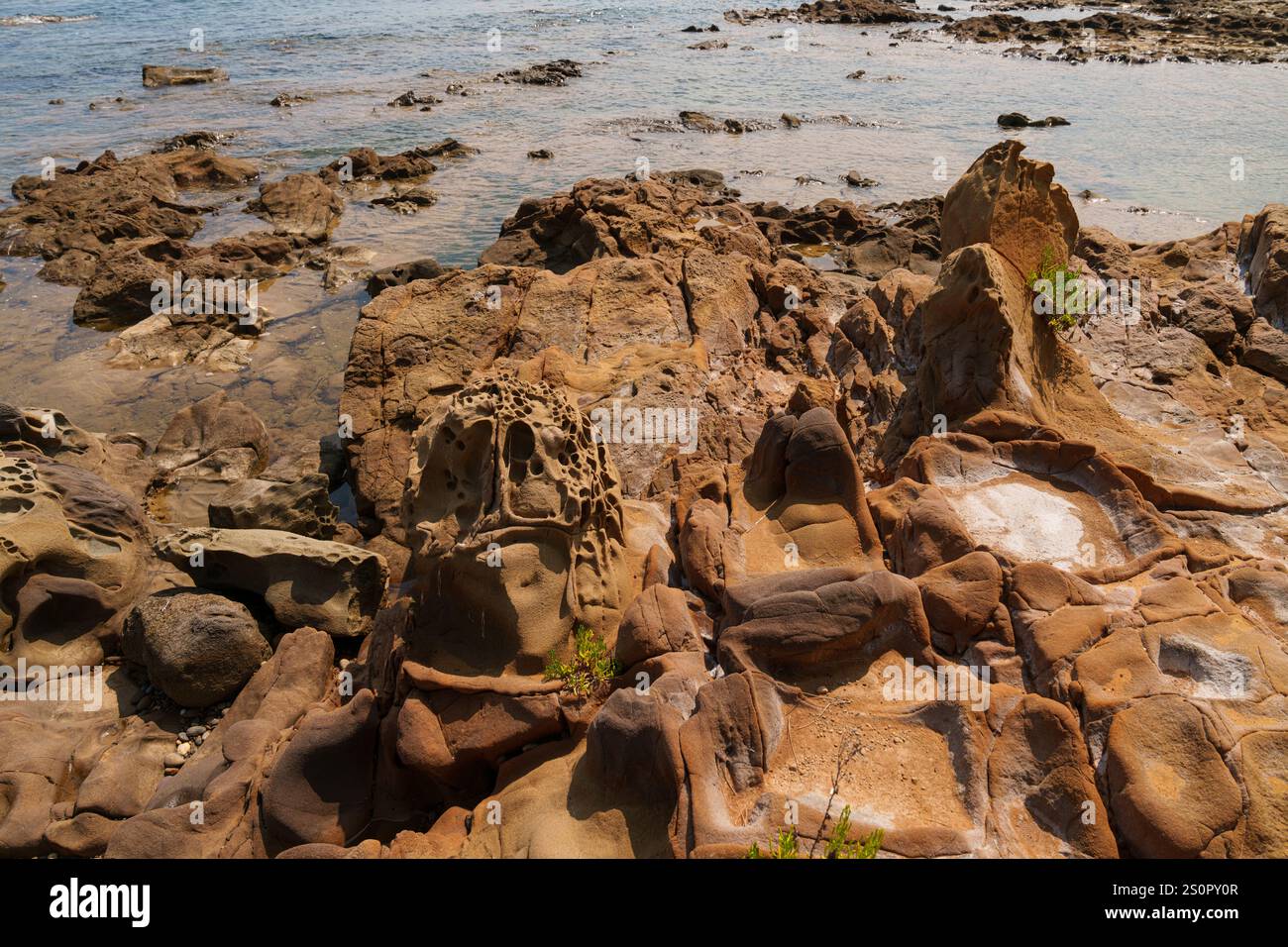 Detailed view of eroded coastal rocks featuring unique natural ...