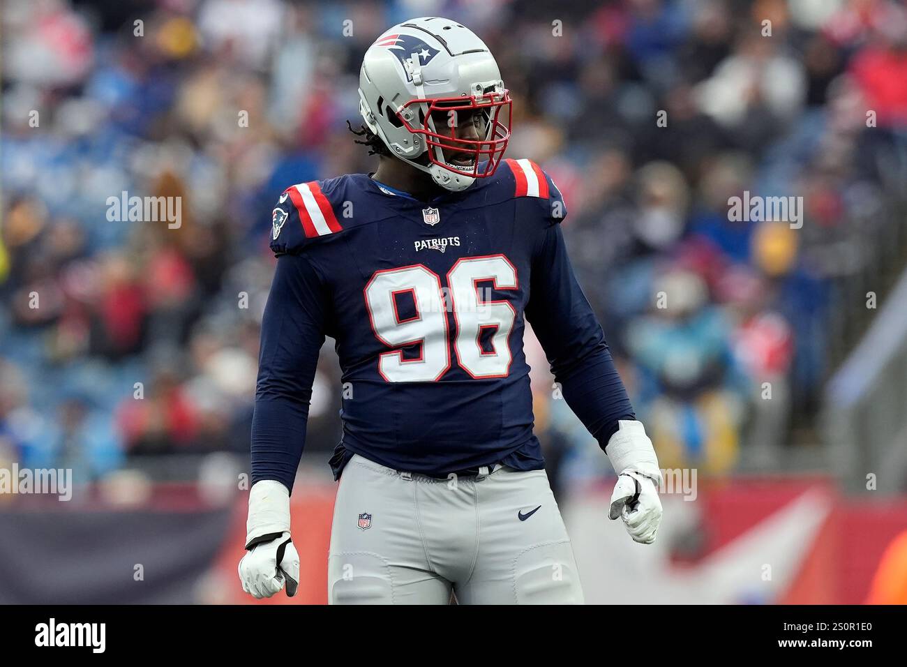 New England Patriots defensive tackle Eric Johnson II during the second half of an NFL football ...