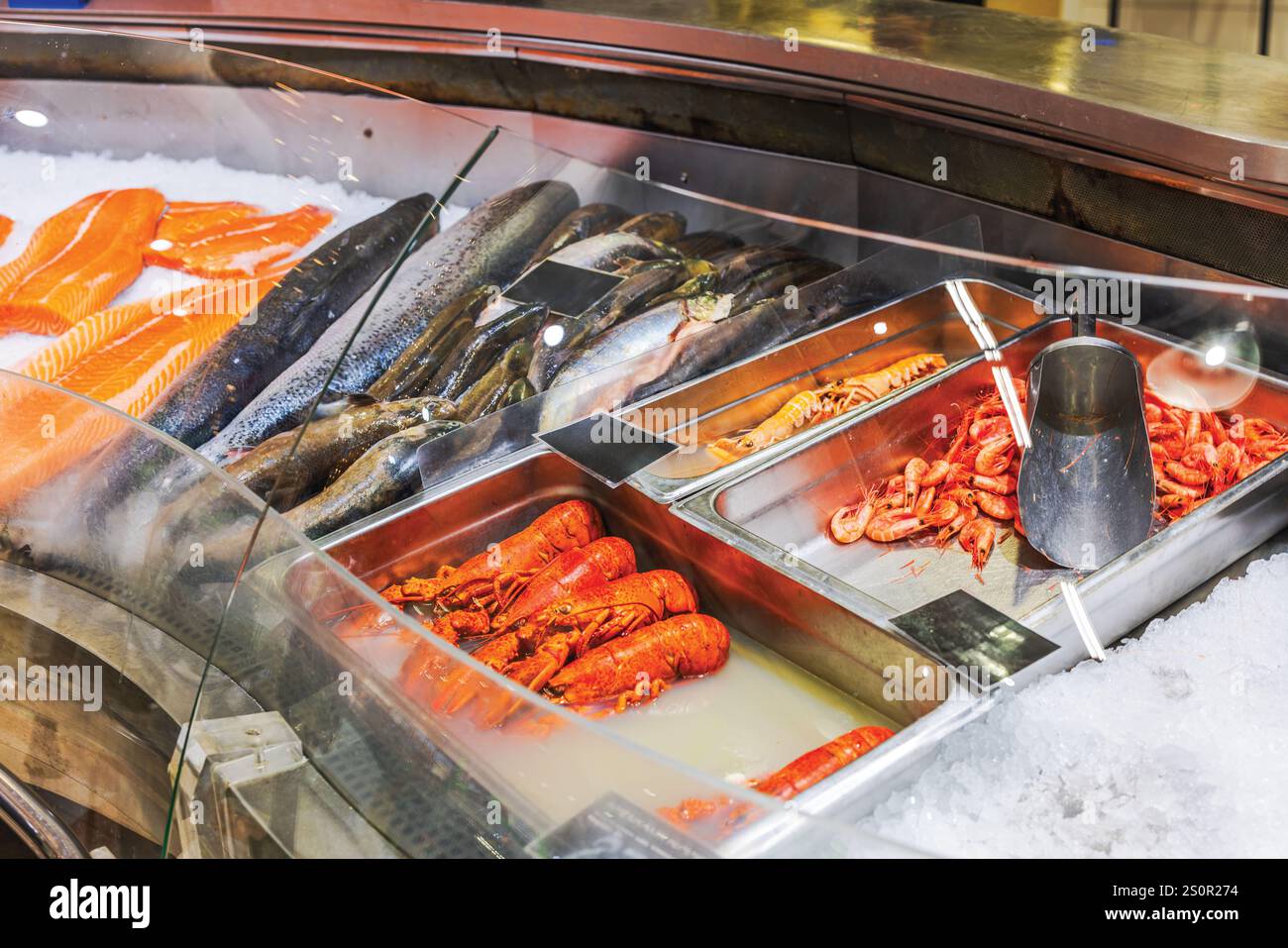 Fresh seafood display with salmon, fish, lobsters, and shrimp on ice in ...