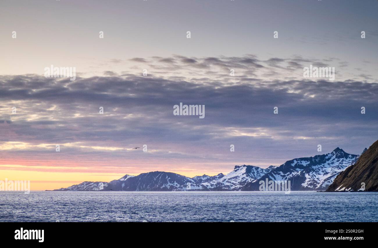 Gold Harbour, South Georgia Stock Photo - Alamy