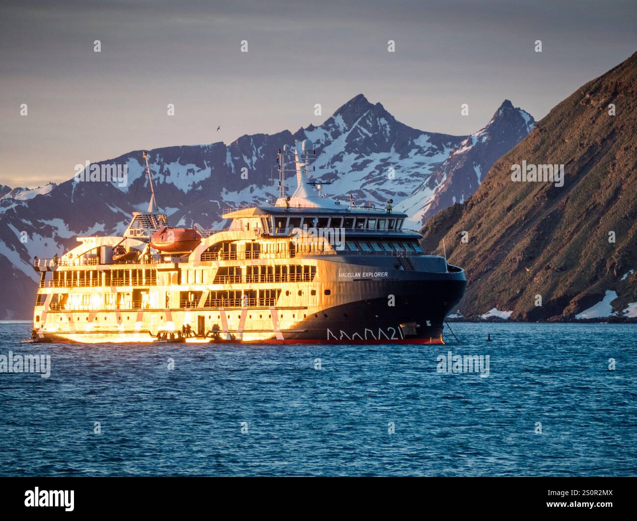 Expedition cruise ship Magellan Explorer off Gold Harbour at sunrise ...