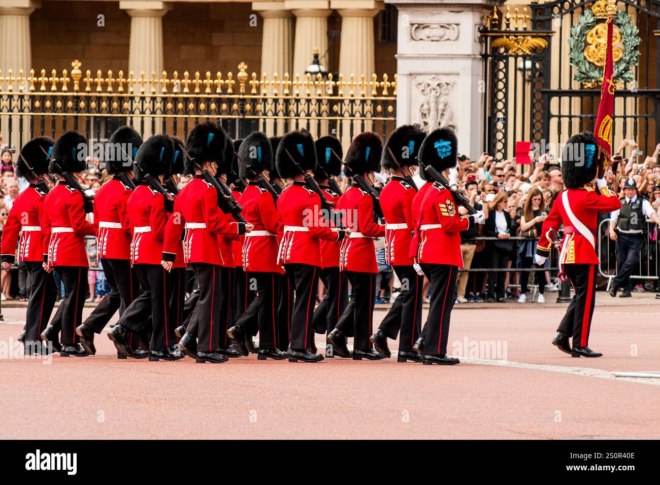 Changing of the guard ceremonies at Buckingham Palace, London, England Stock Photo - Alamy