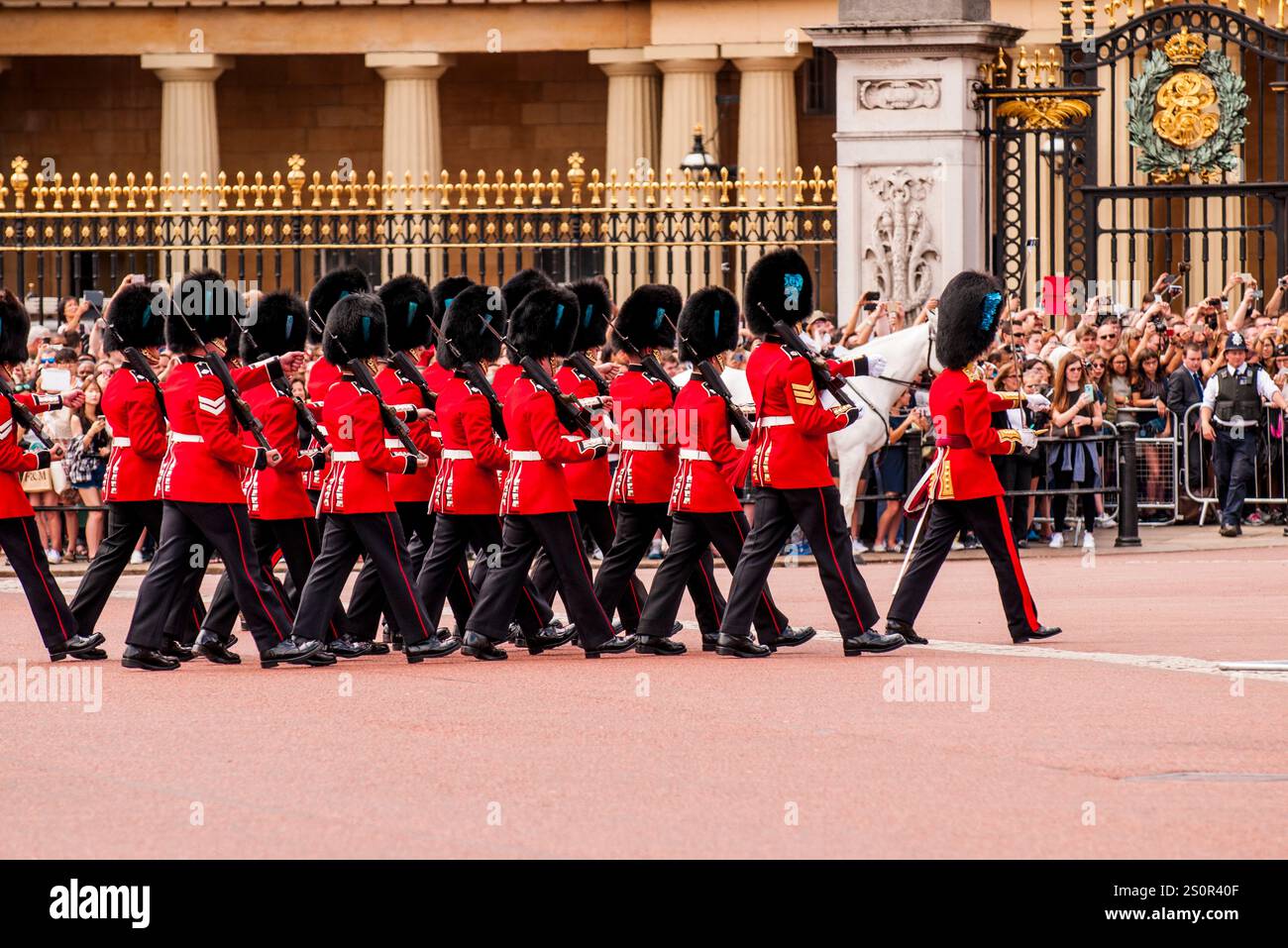 Changing of the guard ceremonies at Buckingham Palace, London, England Stock Photo - Alamy