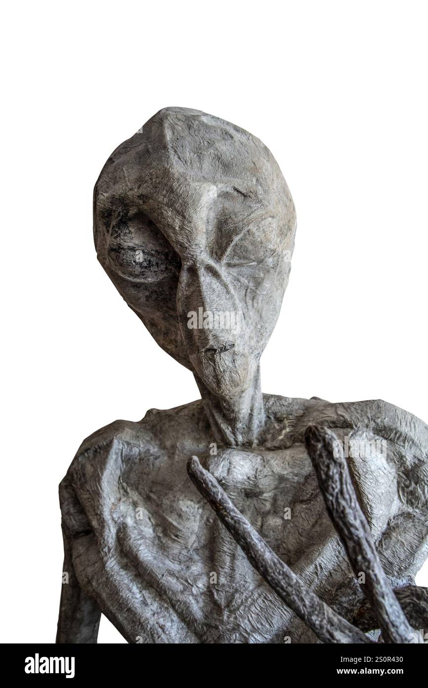 Alien sculpture with a humanoid shape, detailed texture, large head ...