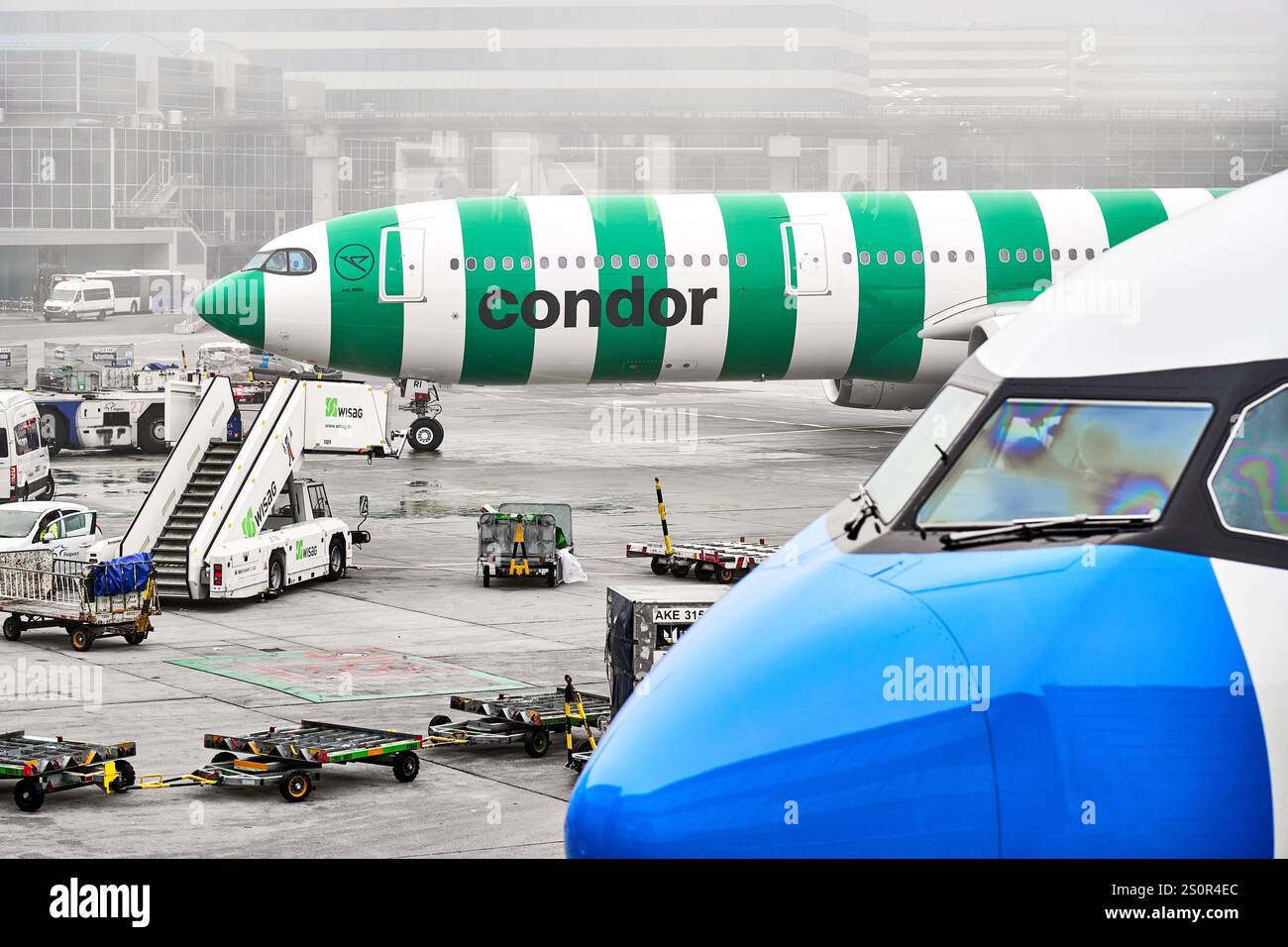Frankfurt am Main, Hesse, Germany - December 28, 2024: At Frankfurt Airport: A Condor Airbus ...