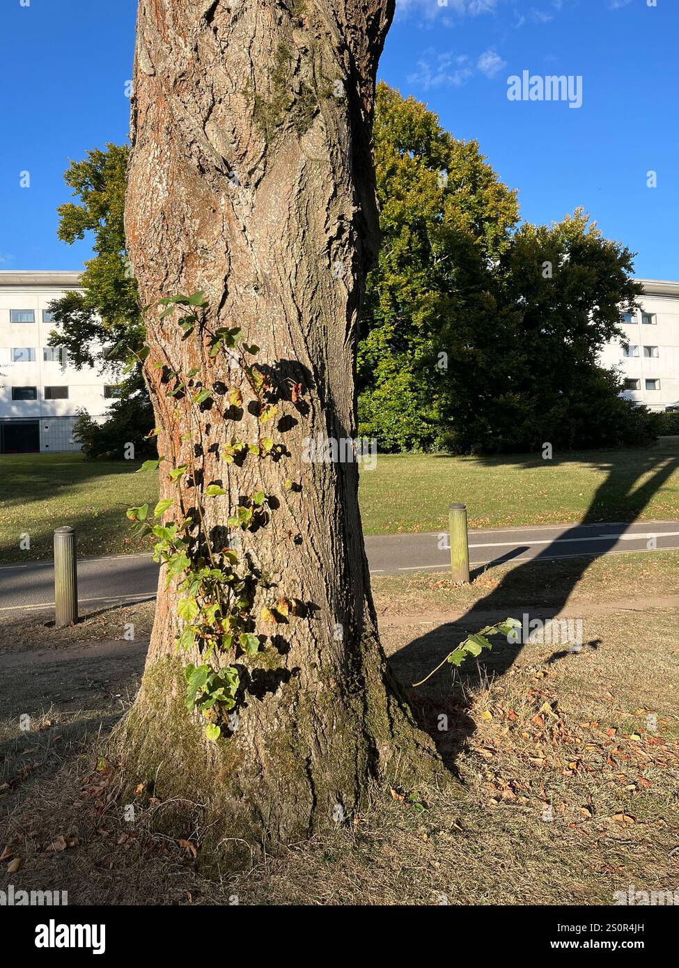 Texxt space hi-res stock photography and images - Alamy