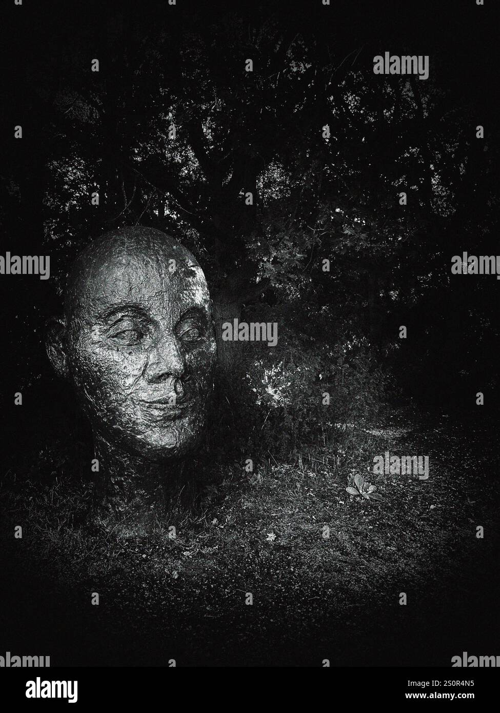 graphic image of human head sculpture norfolk england Stock Photo - Alamy