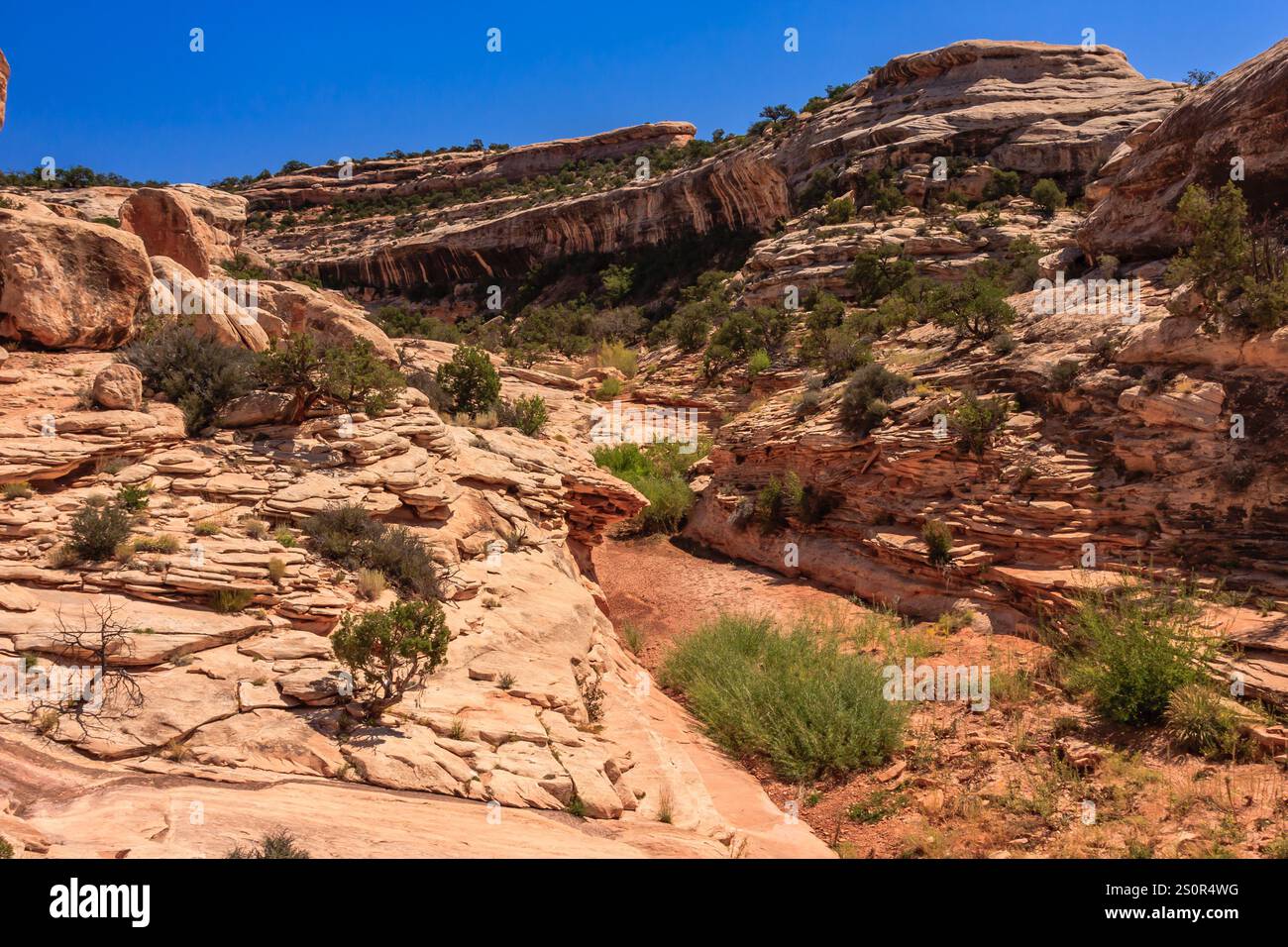 Natural Bridges National Monument is a U.S. National Monument located ...