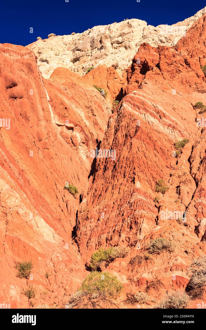 A rocky mountain with a cliff face and a tree growing on it. The ...