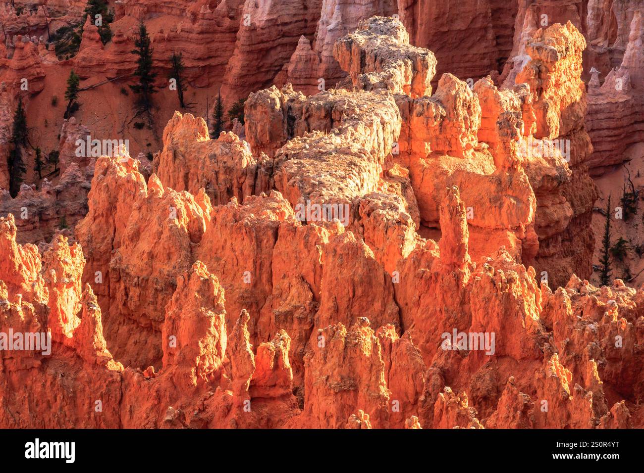 Sunset Point offers vistas of some of the most famous and breathtaking ...