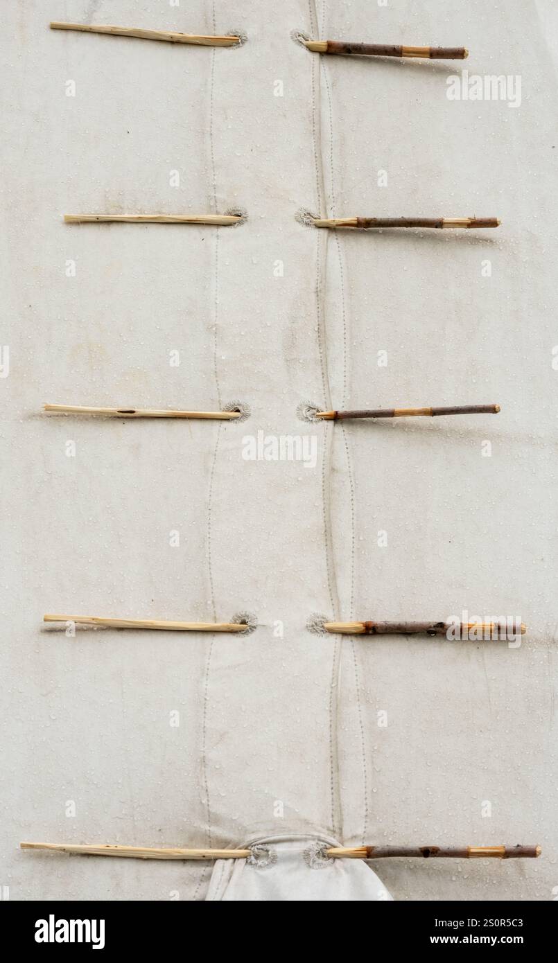 Wooden Lacing Pins On Teepee on traditional Native American structure ...