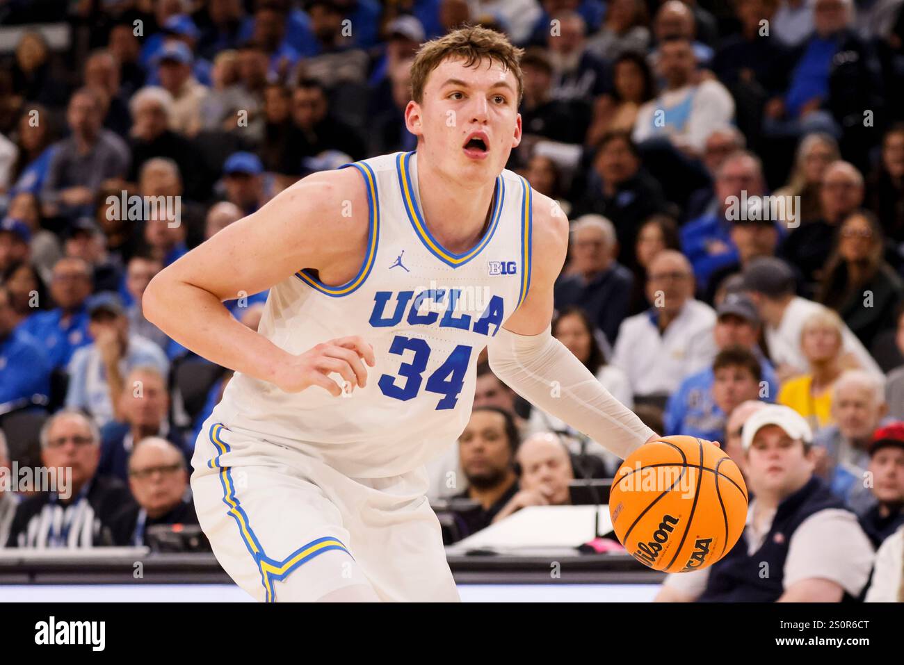 UCLA's Tyler Bilodeau dribbles during the first half of an NCAA college ...