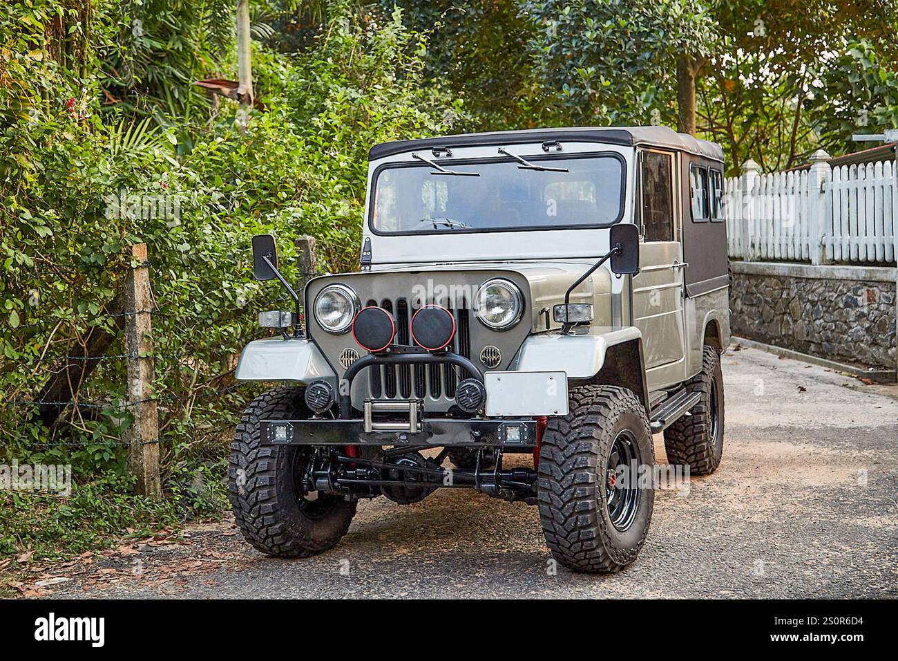 Silver coloured jeep in greeny background Stock Photo - Alamy