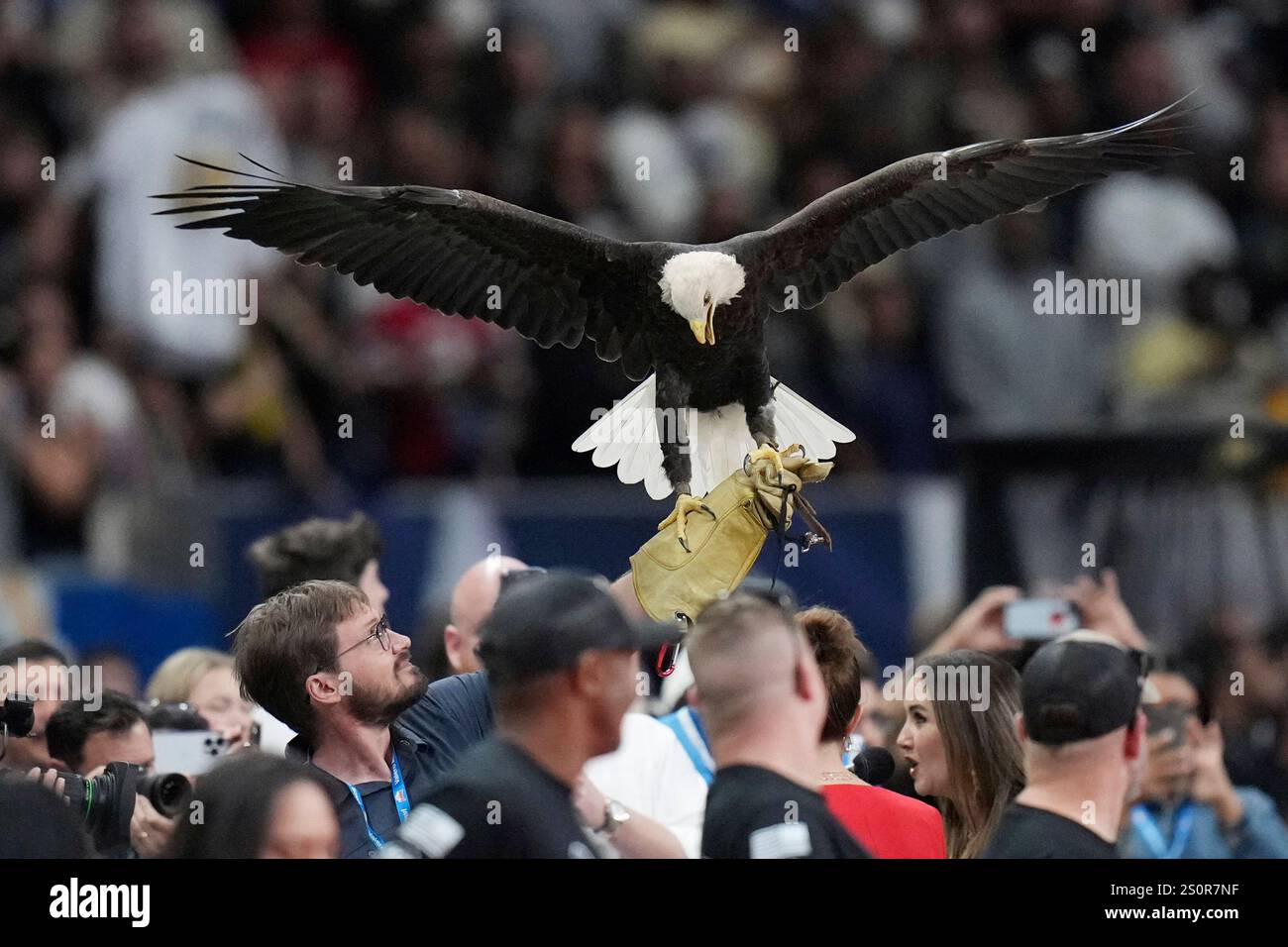 A trainer lifts an eagle while taking part in the national anthem ...