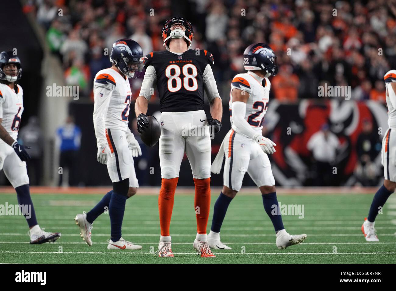 Cincinnati Bengals tight end Mike Gesicki celebrates a catch during ...
