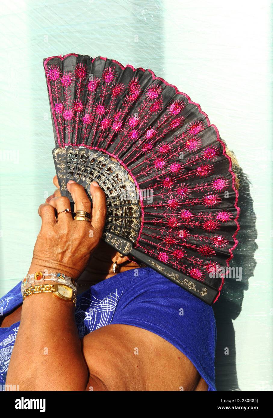 MIAMI, FLORIDA: Annual street fair and cultural festival of Latin ...