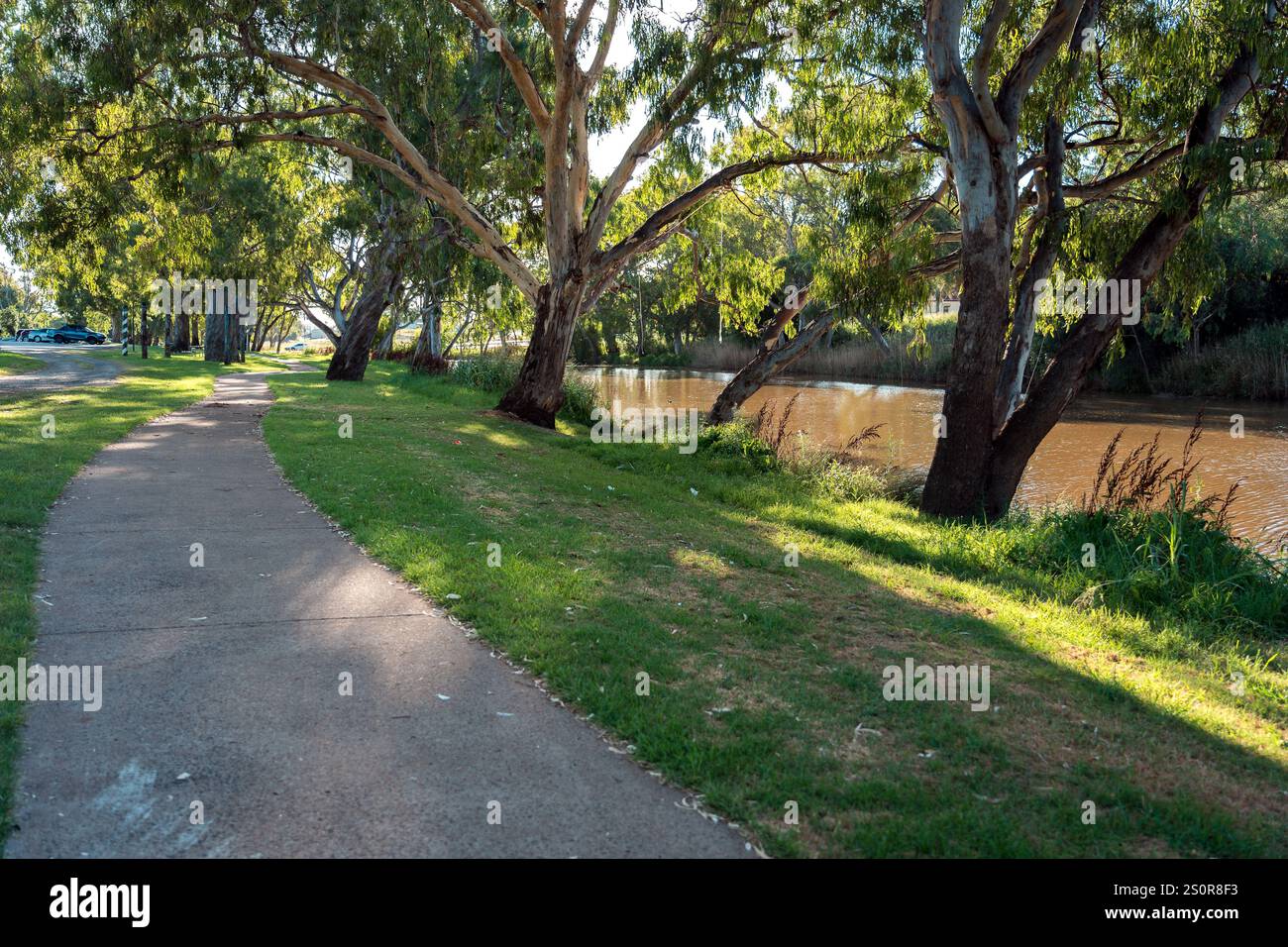 Queens Park river walk at Warwick, QLD, Australia Stock Photo - Alamy