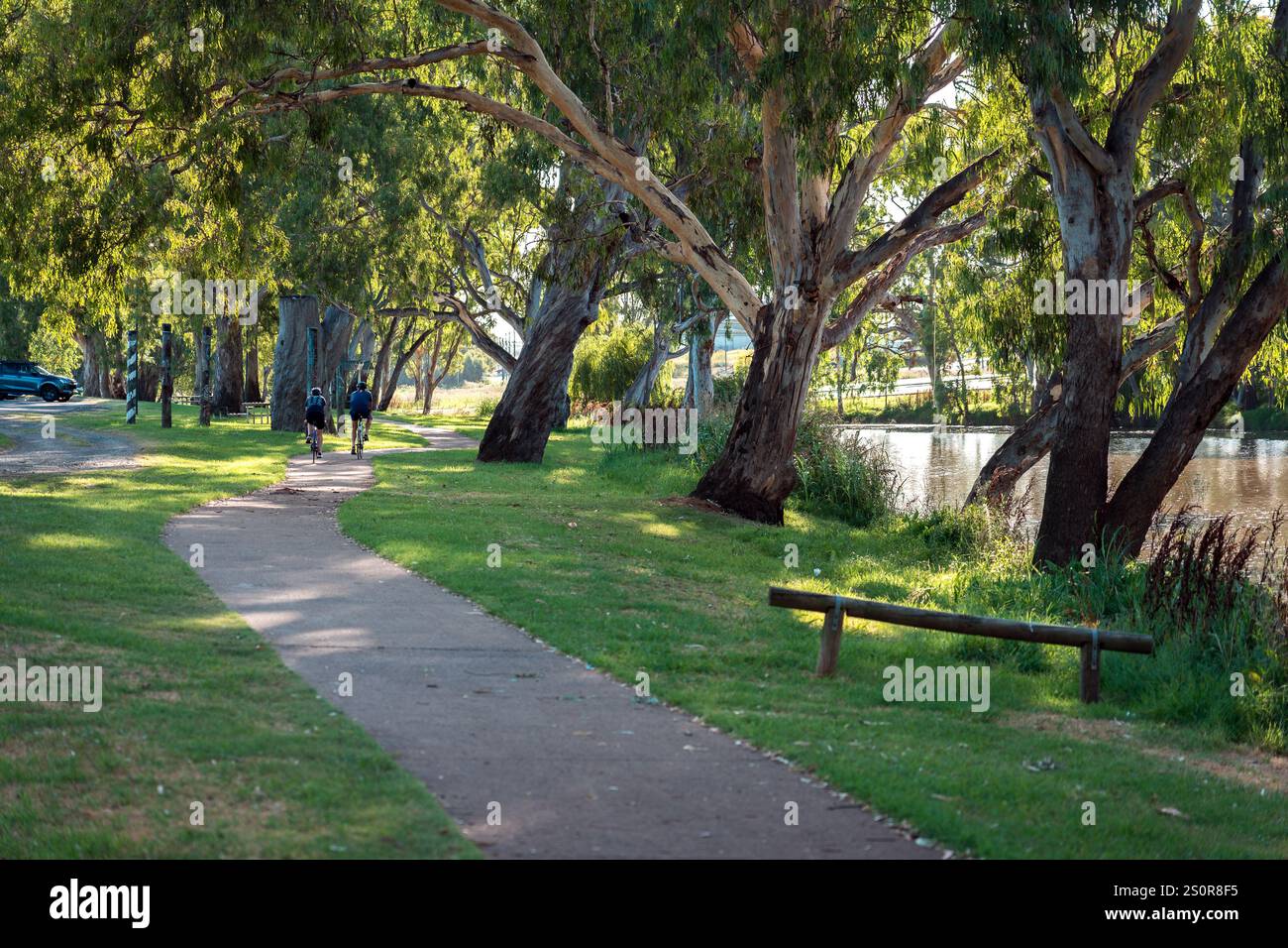 Warwick, QLD, Australia - Cyclists riding along Queens Park river walk ...