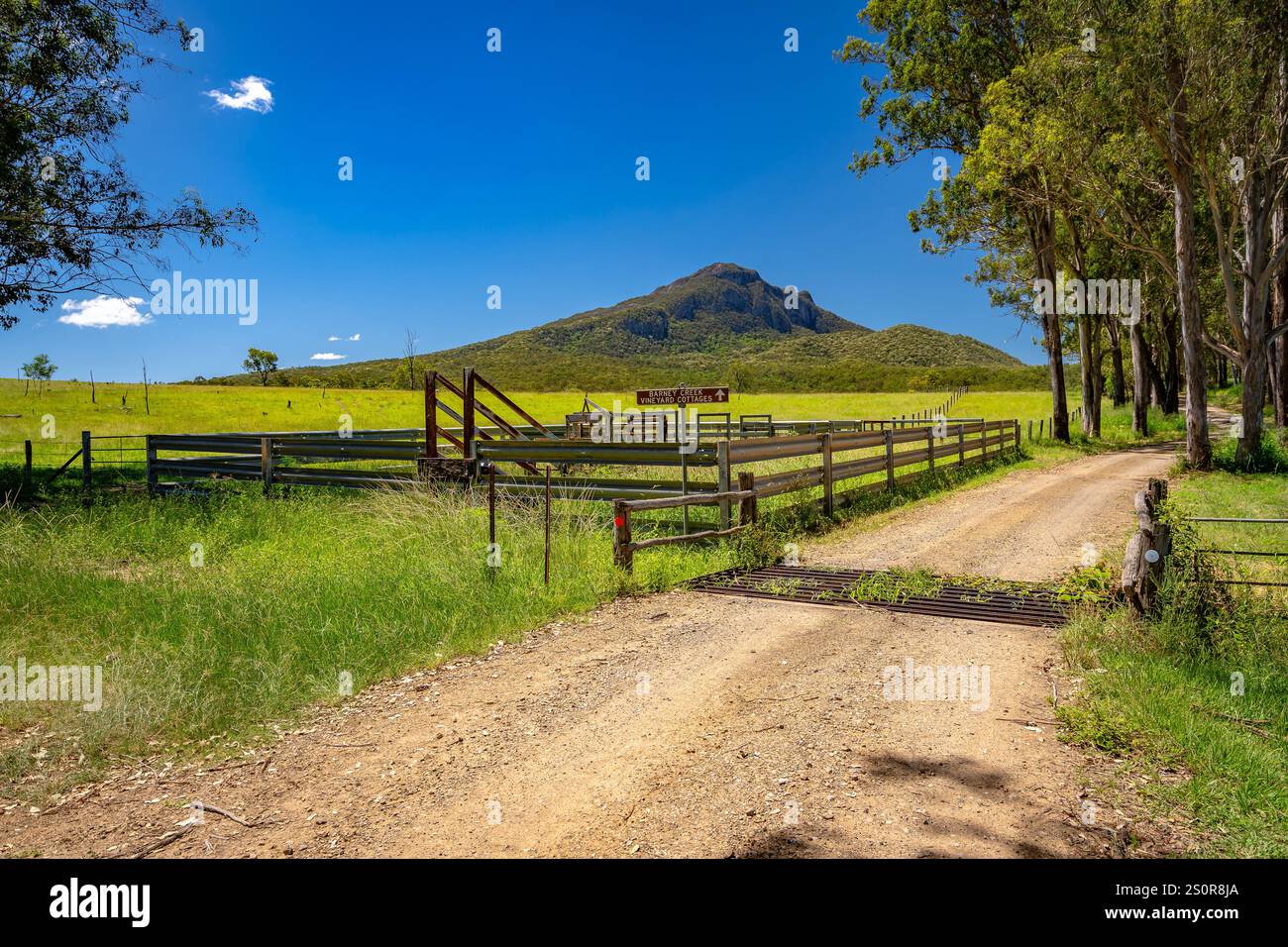 Road to Mount Barney National Park Stock Photo - Alamy