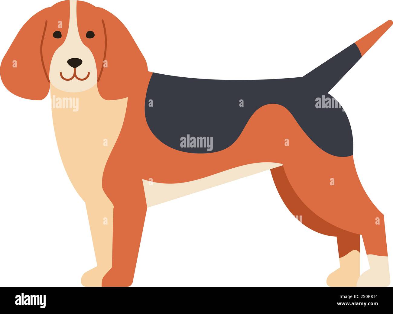Cartoon illustration featuring a tricolor beagle dog standing and ...