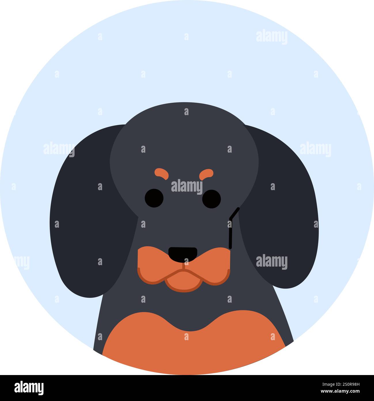 Minimalist vector illustration of a dachshund dog, presenting a frontal ...