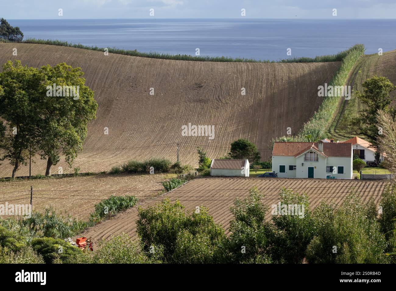 Farm with a steep field as seen from Miradouro e área de lazer de Água ...