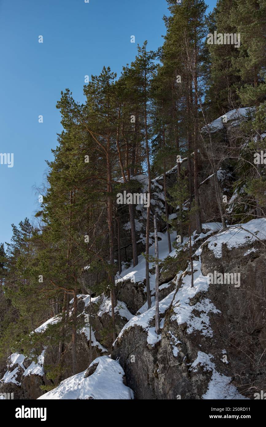 Snowy and rocky cliffs with green forests and blue sky in winter in ...