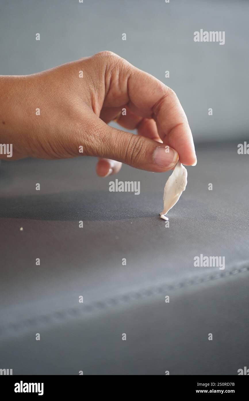 Detailed instructions for effectively removing chewing gum from fabric ...