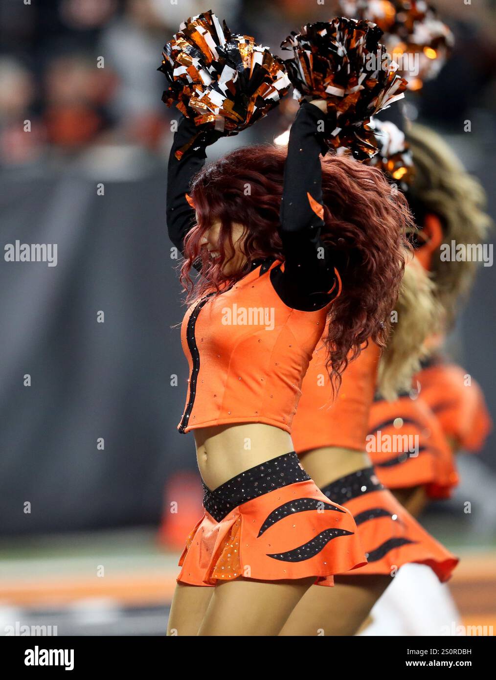 Cincinnati, United States. 28th Dec, 2024. Cincinnati Bengals ...