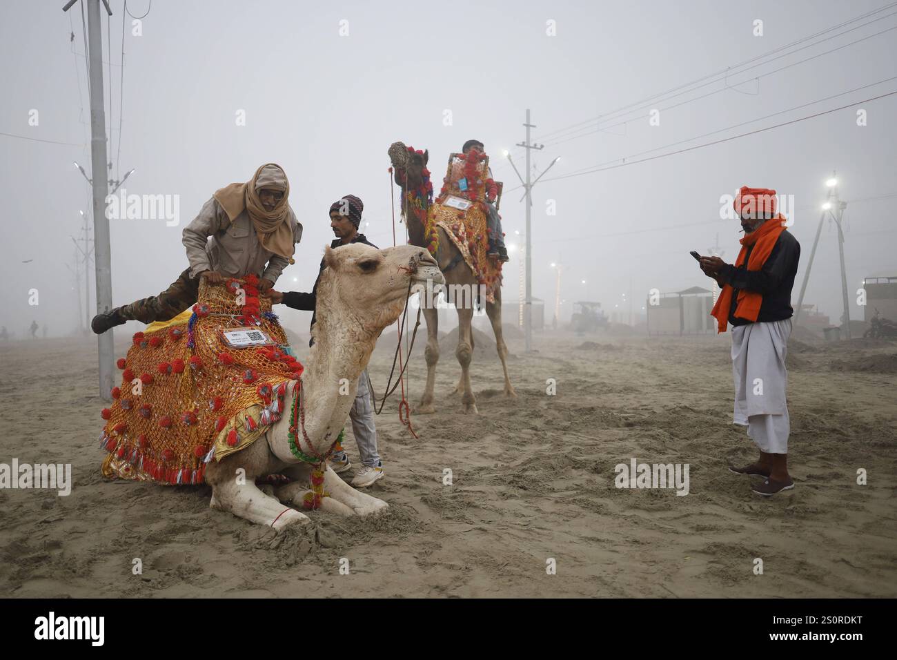 Pilgrims take camel ride at the bank of Sangam confluence of rive Ganga ...