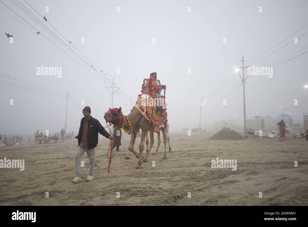 Pilgrims take camel ride at the bank of Sangam confluence of rive Ganga ...