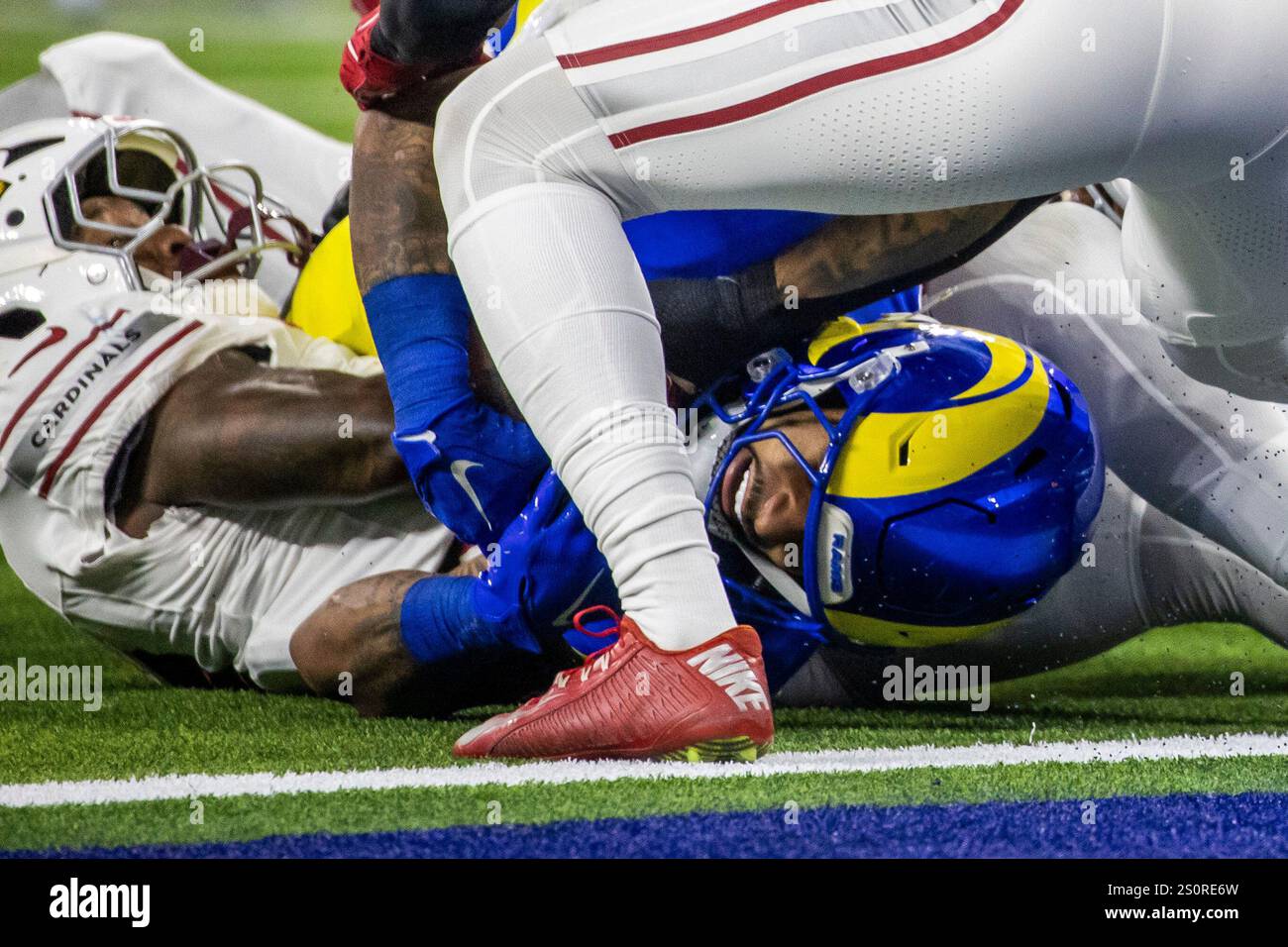 20241228rc rams045 jpg hi-res stock photography and images - Alamy