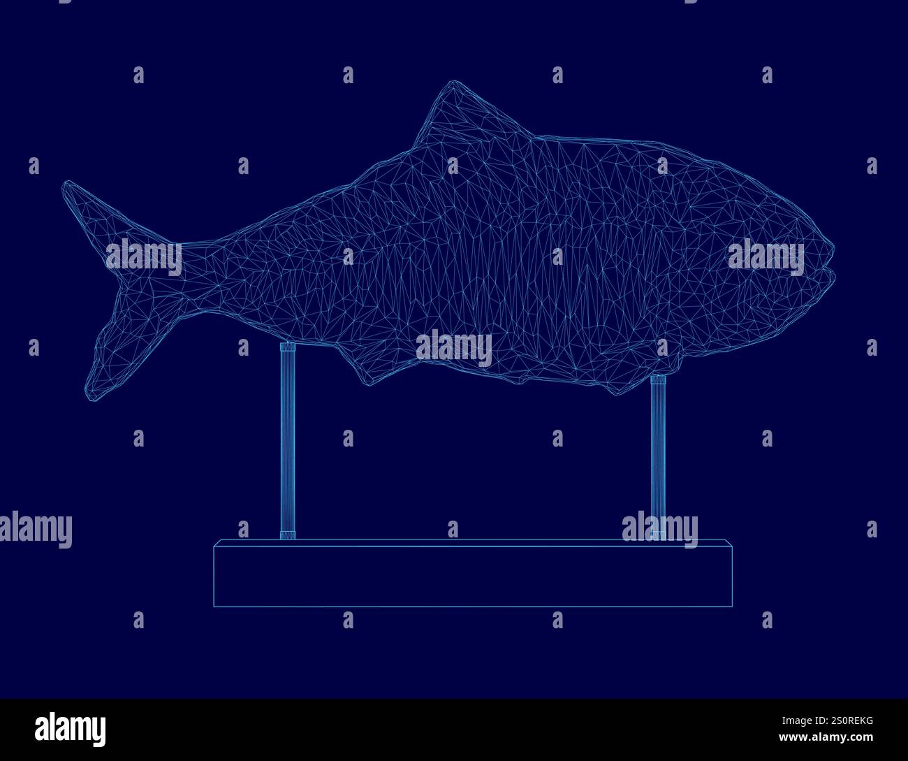 Tropical fish in aquarium closeup Stock Vector Images - Alamy