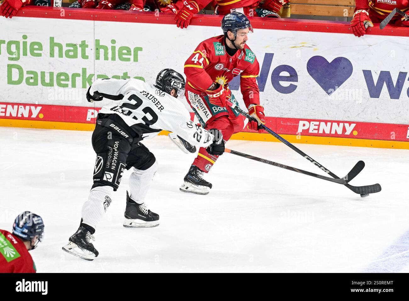 Eishockey DEL - 24/25 - 31. Spieltag: Düsseldorfer EG vs Grizzlys ...