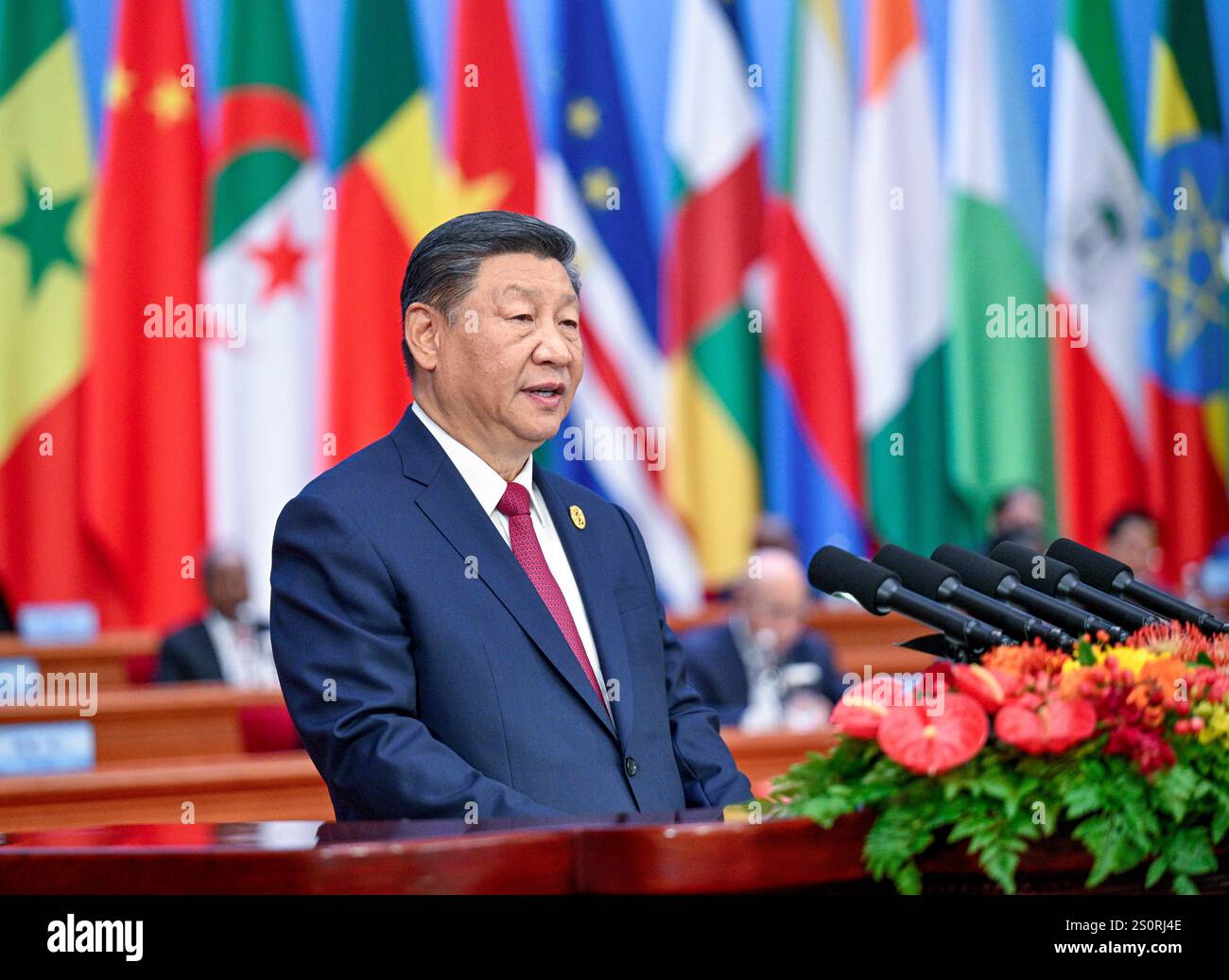 (241229) -- BEIJING, Dec. 29, 2024 (Xinhua) -- Chinese President Xi ...