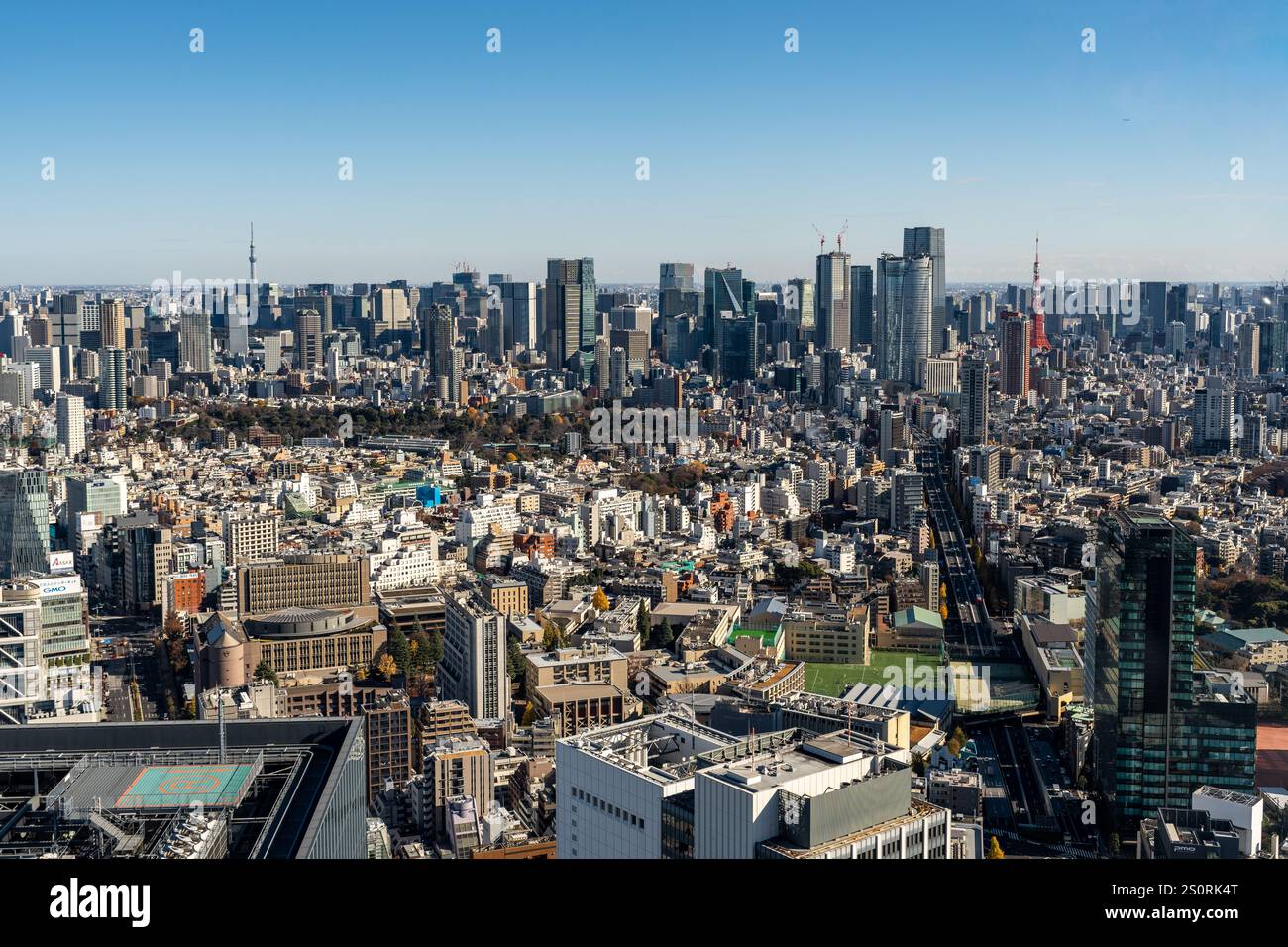 Tokyo, Japan - 14 December 2024 - View of Tokyo cityscape including ...