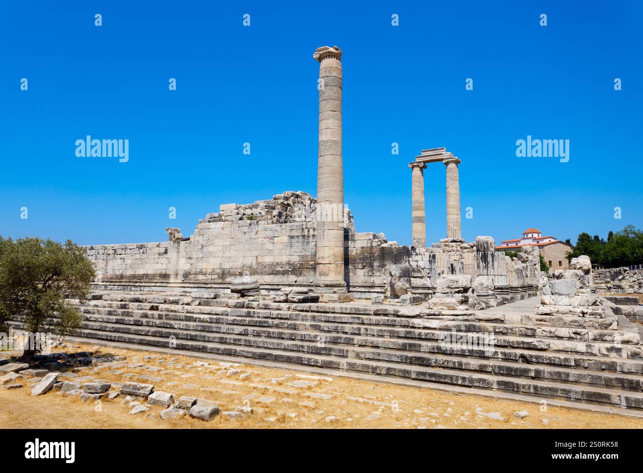 The ruins of the Temple of Apollo at Didyma ancient greek city. Didyma ...