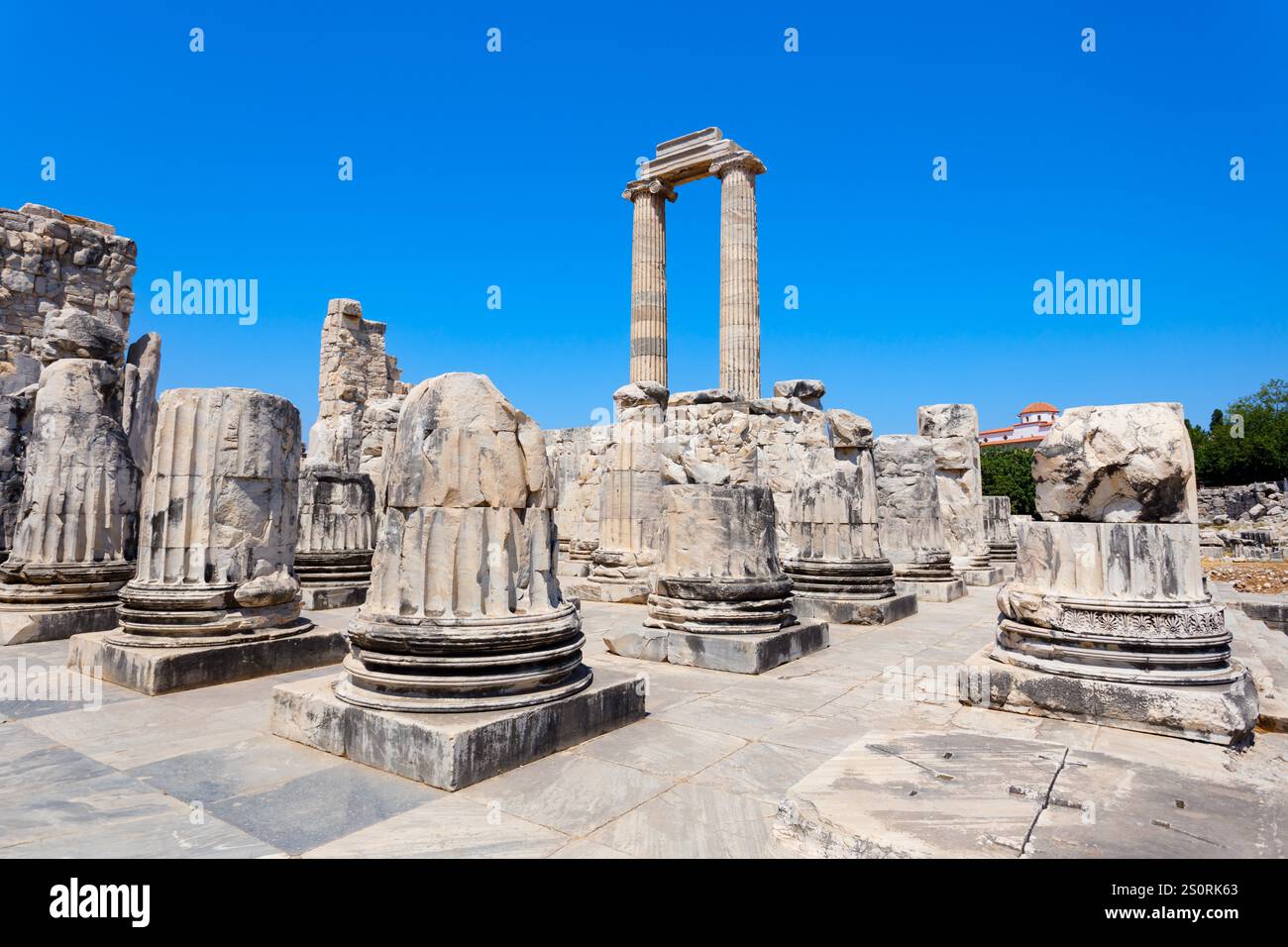 The ruins of the Temple of Apollo at Didyma ancient greek city. Didyma ...