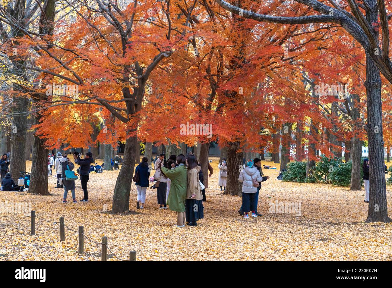 Calmness gathering city hi-res stock photography and images - Alamy